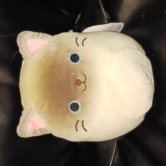 Squishmallows | Toys | Squishmallow Felton The Cat 7 In | Poshmark